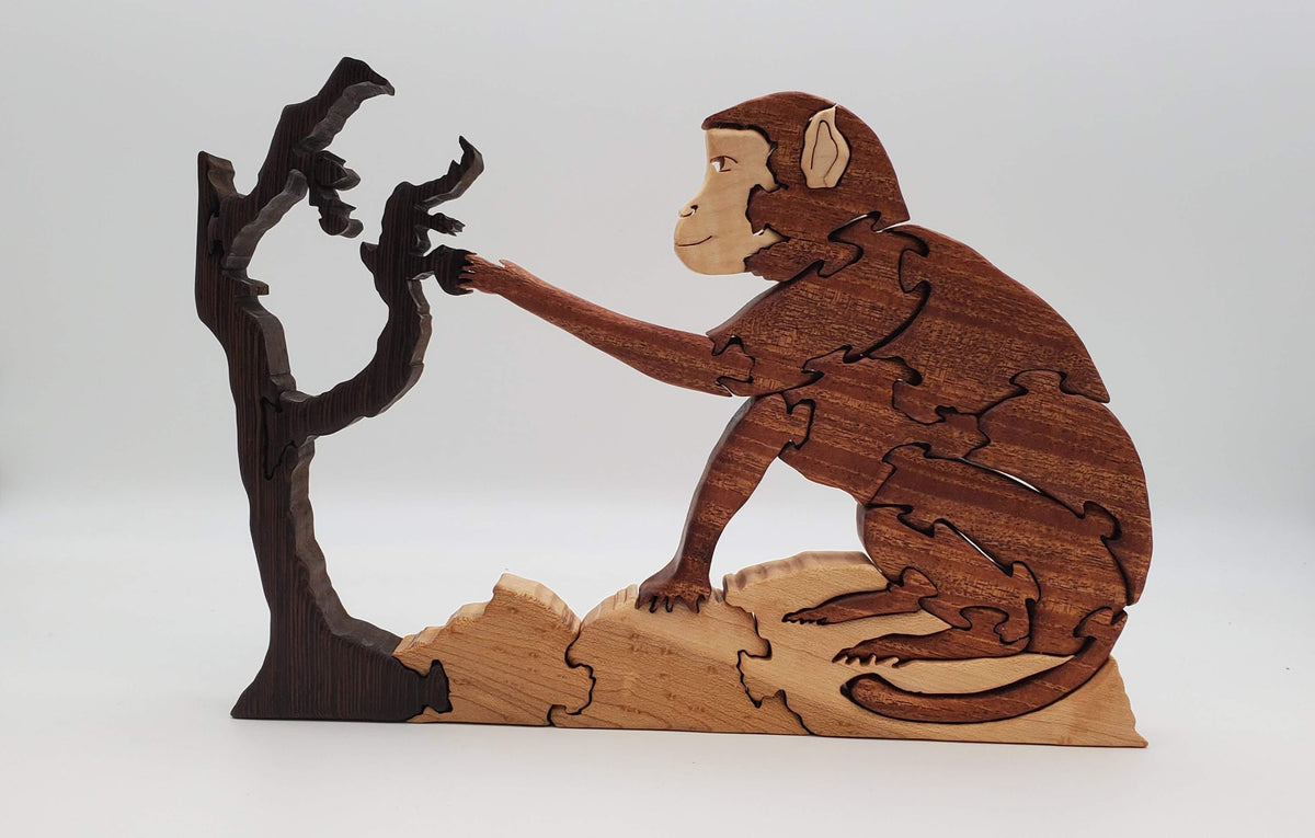 Monkey – Completely Puzzled